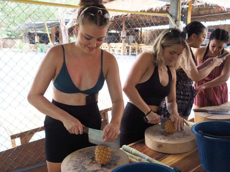 Phuket City Tour with Viewpoints, Temples & Elephant Feeding - Practical Details & What to Expect