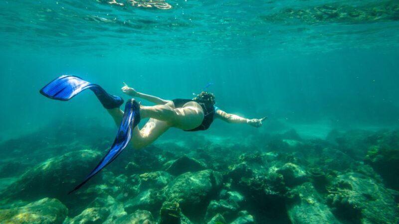 Phuket: Coral Island Longtail Boat Cruise with Snorkeling - Who Would Enjoy This Tour?