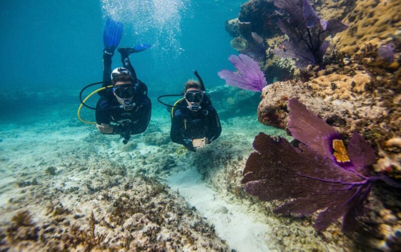 Phuket: Coral Island Snorkeling and Water Activities Trip - Authentic Experiences: What Travelers Say