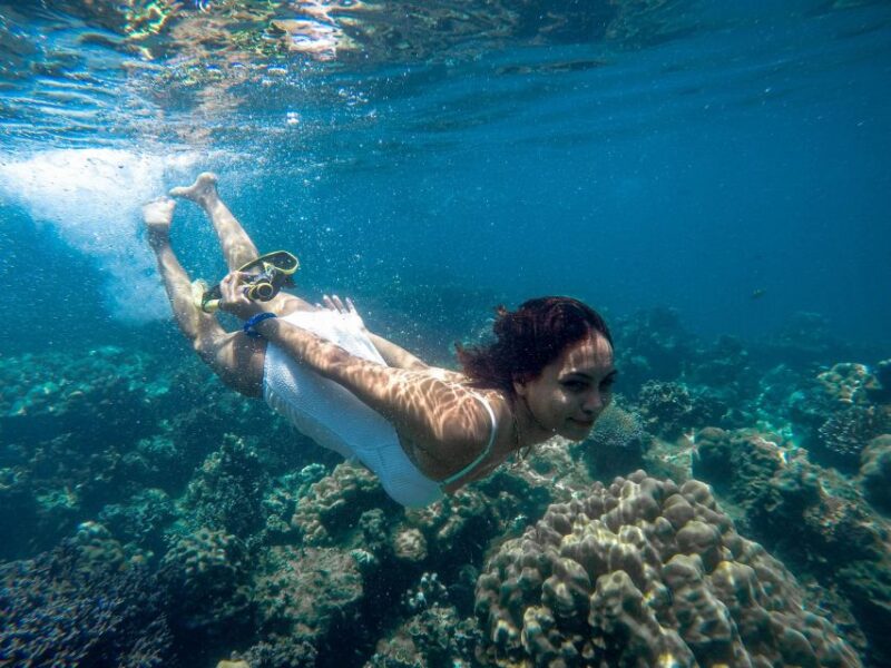 Phuket: Deluxe Phi Phi Tour by Speedboat & Lunch Buffet - Overview of the Tour Experience