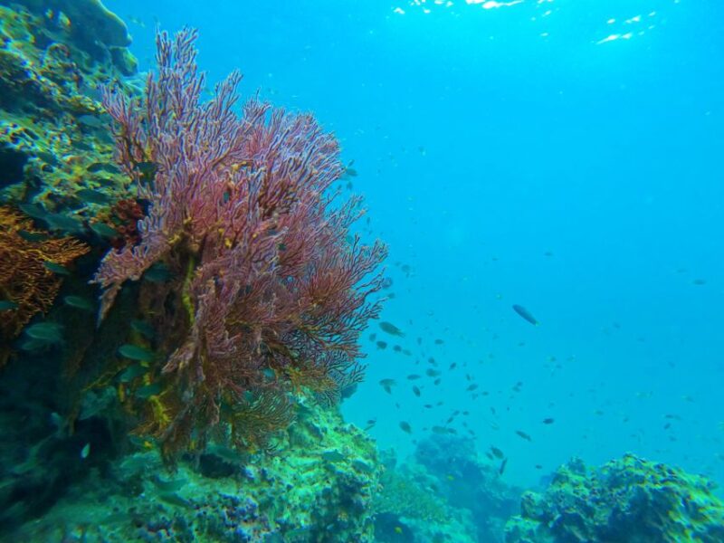 Phuket: Deluxe Phi Phi Tour by Speedboat & Lunch Buffet - The Guides & Crew