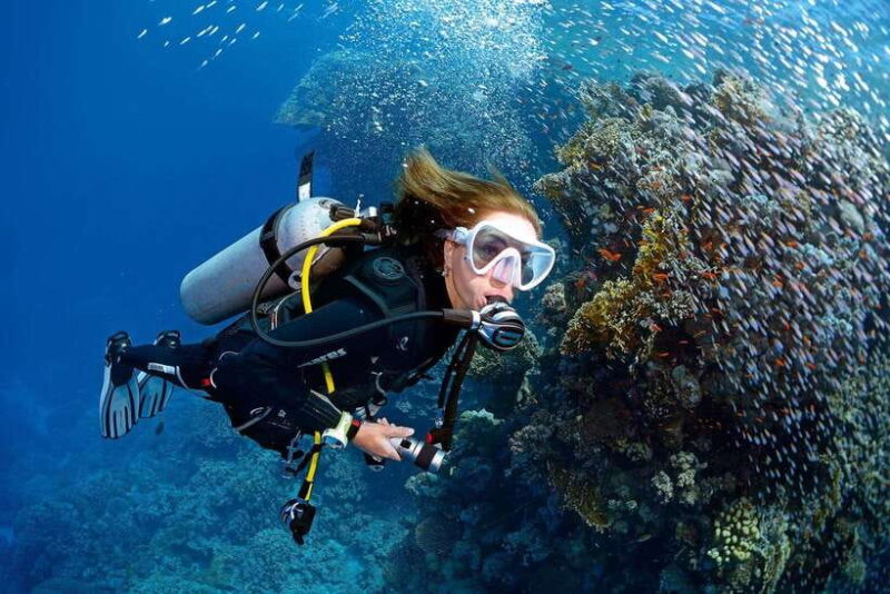 Phuket: Discover Scuba Diving to Racha Yai Island - The Itinerary Breakdown