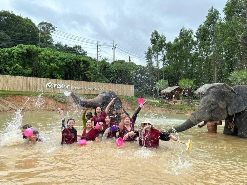 Phuket: Elephant Experience with Lunch or Dinner and Pickup - Who Should Consider This Tour?