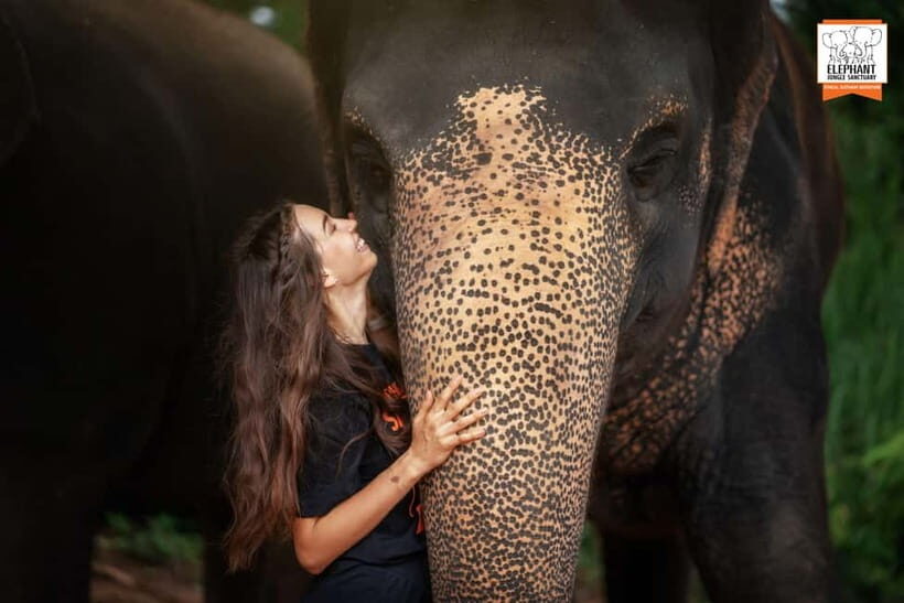 Phuket: Elephant Jungle Sanctuary Ethical Feeding Experience - Practical Details and Tips