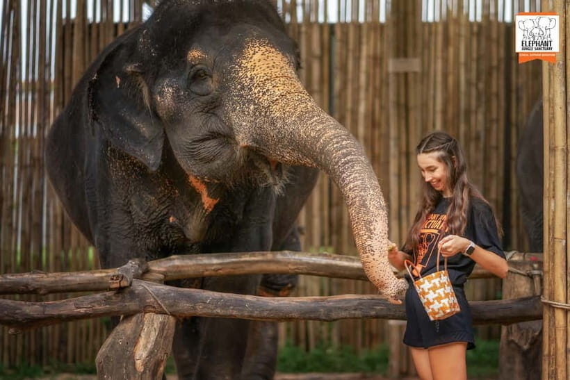 Phuket: Elephant Jungle Sanctuary Ethical Feeding Experience - Who Will Love This Experience?