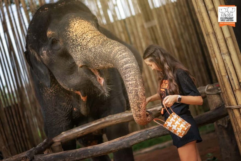 Phuket: Elephant Jungle Sanctuary Ethical Feeding Experience - The Sum Up: A Responsible, Rewarding Elephant Experience