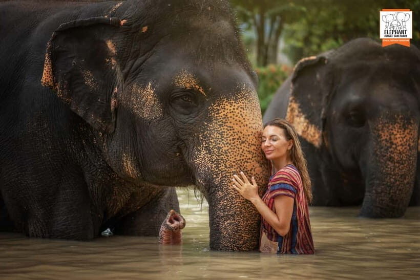 Phuket: Elephant Jungle Sanctuary Half-Day Visit with Meal - Key Points