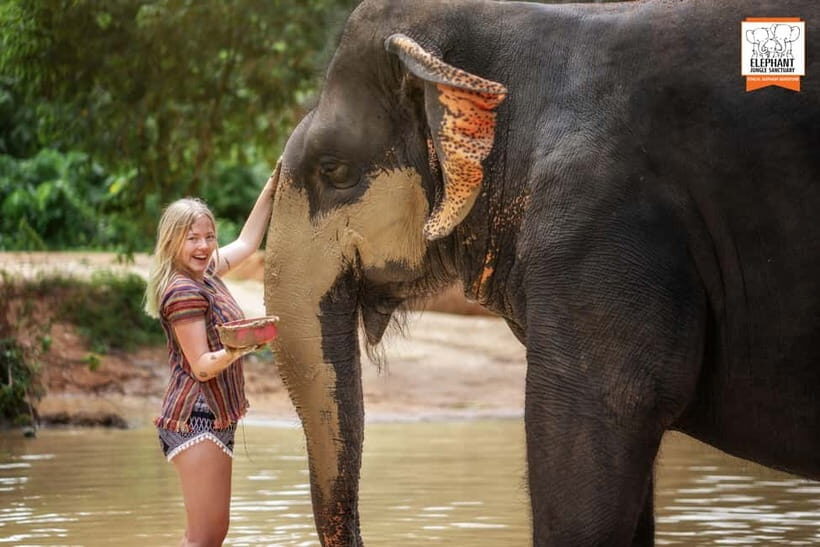 Phuket: Elephant Jungle Sanctuary Half-Day Visit with Meal - A Deep Dive into the Tour Experience