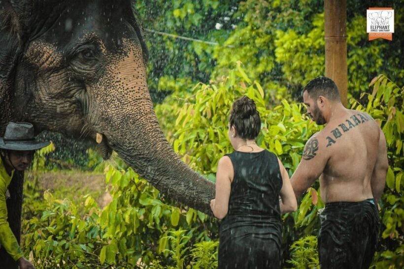 Phuket: Elephant Jungle Sanctuary Half-Day Visit with Meal - The Sum Up