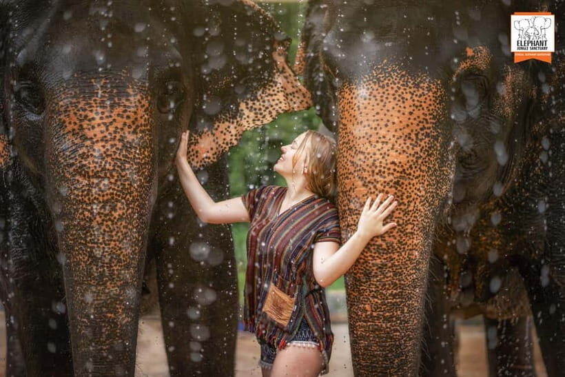 Phuket: Elephant Jungle Sanctuary Half-Day Visit with Meal - FAQ