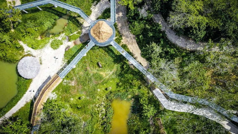 Phuket: Elephant Sanctuary Canopy Walkway Tour - Key Points