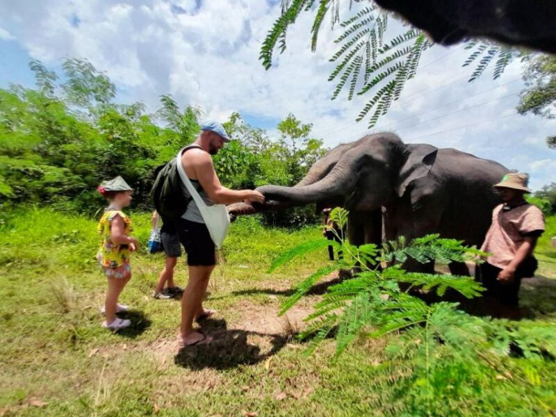 Phuket: Elephant Sanctuary Eco Guide Walk & Forage Tour - An Honest Look at the Experience