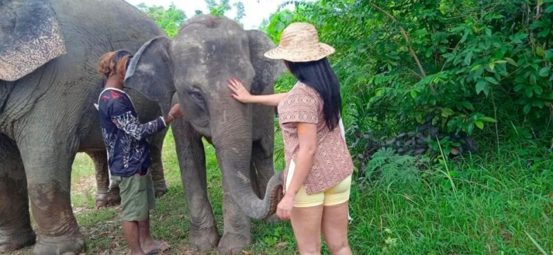 Phuket: Elephant Sanctuary Eco Guide Walk & Forage Tour - Authentic Reviews and Real-Life Impressions
