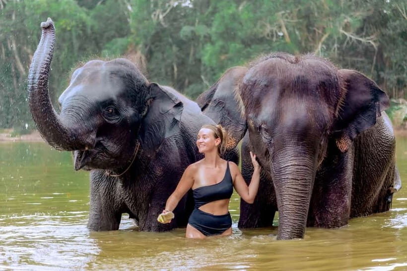 Phuket: Elephant Sanctuary Feed and Bathe Gentle Giants - What to Expect From the Phuket Elephant Sanctuary Tour
