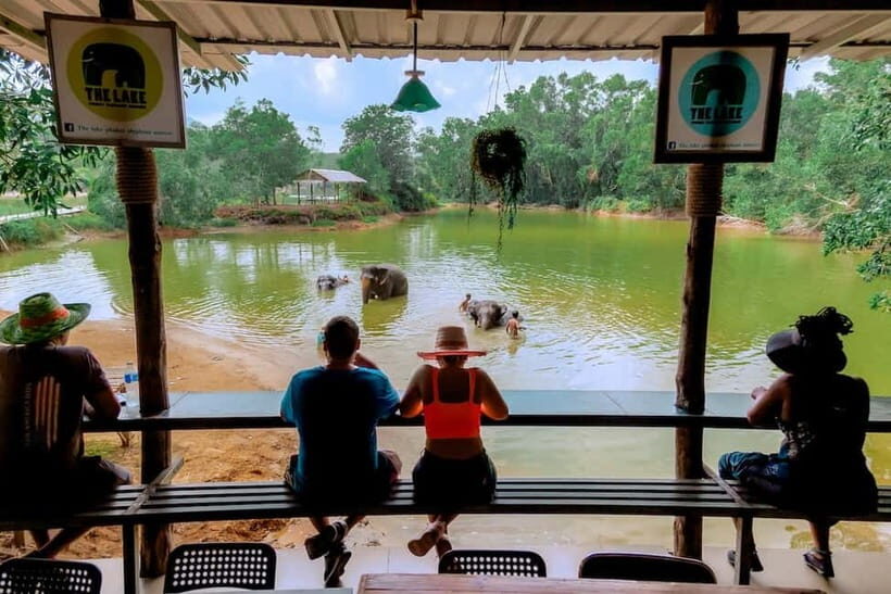 Phuket: Elephant Sanctuary Feed and Bathe Gentle Giants - FAQs About the Phuket Elephant Sanctuary Tour