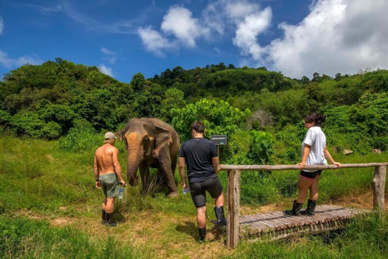 Phuket: Elephant Sanctuary Guided Tour with Hotel Transfers - Final Thoughts: Is This the Right Tour for You?