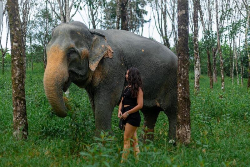 Phuket: Elephant Sanctuary Small Group Tour in Khao Lak - Breaking Down the Itinerary