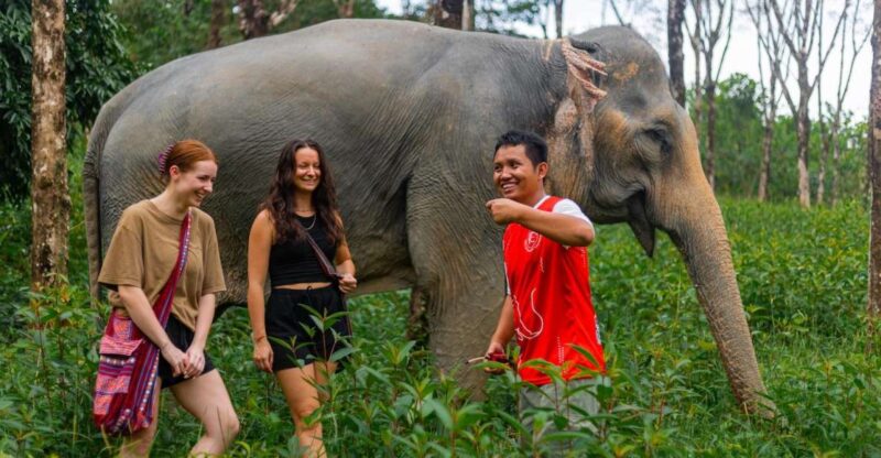 Phuket: Elephant Sanctuary Small Group Tour in Khao Lak - Authentic Experiences and Genuine Value