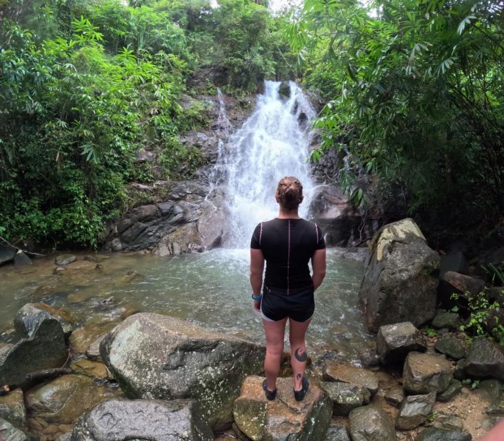 Phuket: Elephant Sanctuary Tour, Cooking Class & Lunch - The Experience in Detail