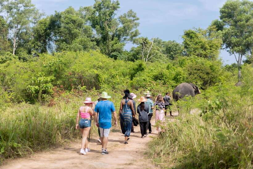 Phuket: Elephant Sanctuary Tour with Hotel Transfers - An Honest Look at the Phuket Elephant Sanctuary Tour