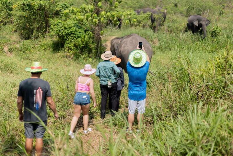 Phuket: Elephant Sanctuary Tour with Hotel Transfers - Final Thoughts