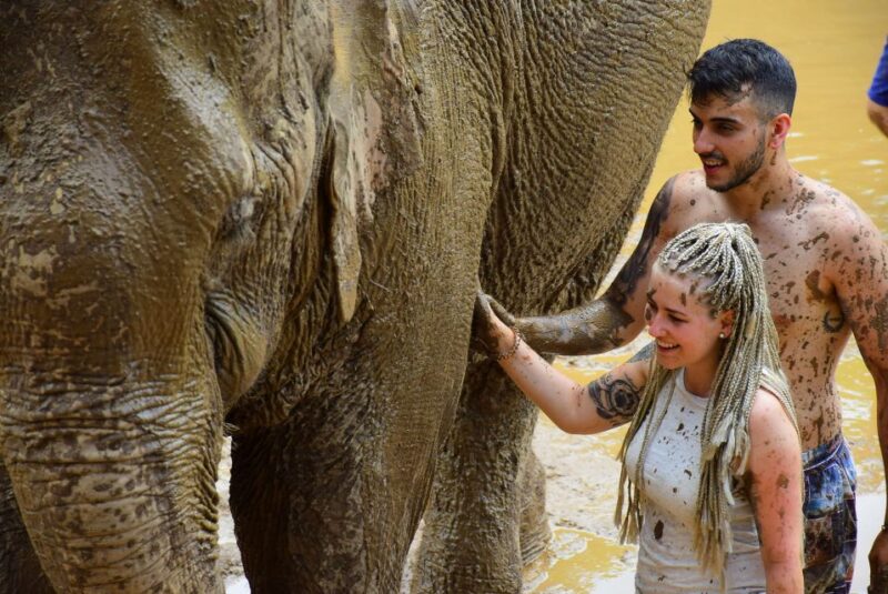 Phuket: Elephant Save & Care Program Tour - Key Points