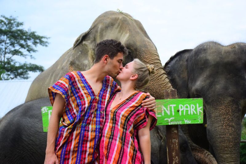 Phuket: Elephant Save & Care Program Tour - Supportive and Sustainable