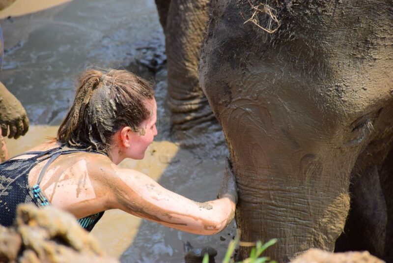 Phuket: Elephant Save & Care Program Tour - Value for Money