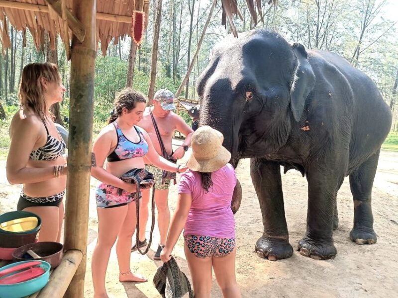 Phuket: Elephant & Sea Turtle Conservation Tour with Rafting - Visiting the Sea Turtle Conservation Center