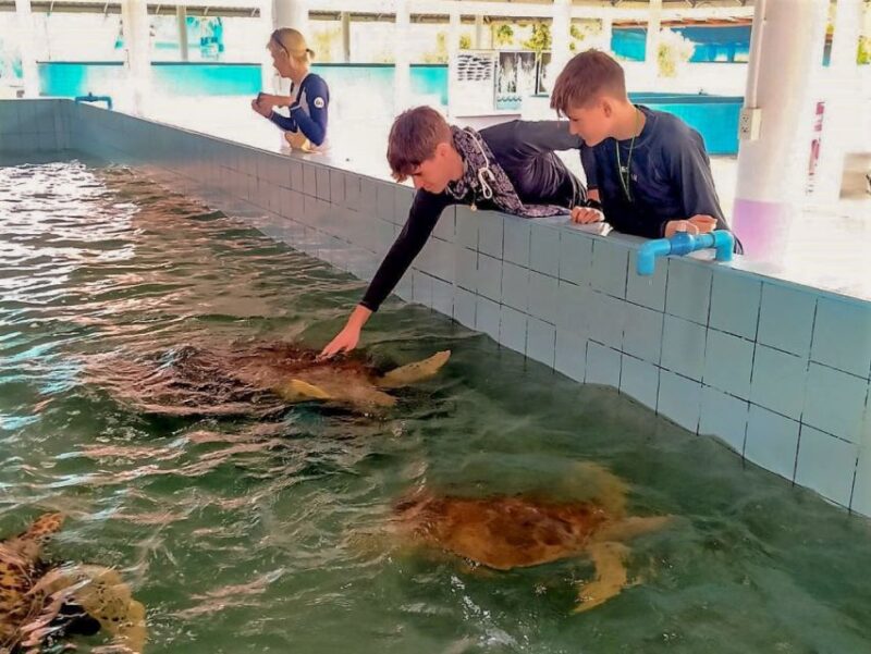 Phuket: Elephant & Sea Turtle Conservation Tour with Rafting - Exploring Cultural Sites