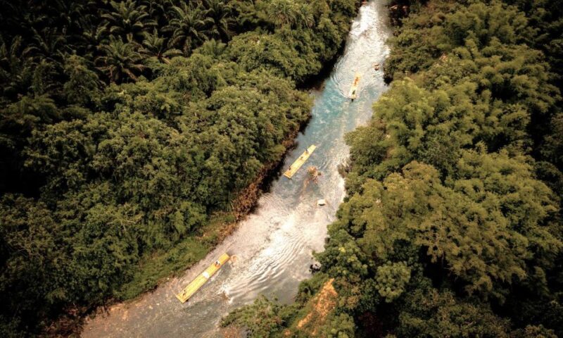 Phuket: Elephant & Sea Turtle Conservation Tour with Rafting - Delicious Thai Lunch