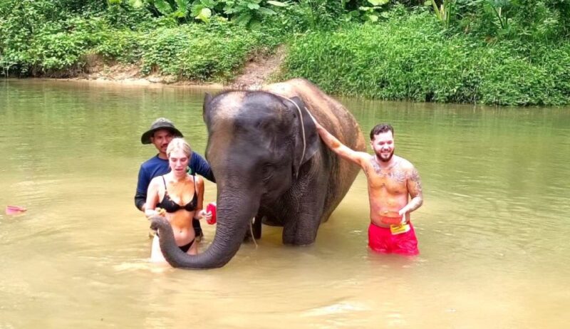 Phuket: Elephant & Sea Turtle Conservation Tour with Rafting - Interacting with Elephants