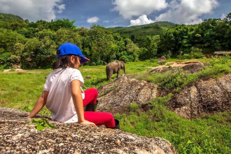 Phuket: Ethical Elephant Nature Park Visit with Lunch - Key Points