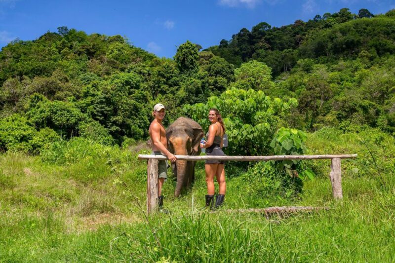 Phuket: Ethical Elephant Nature Park Visit with Lunch - Who Should Consider This Tour?
