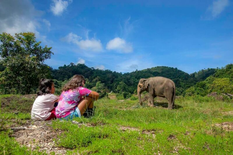 Phuket: Ethical Elephant Nature Park Visit with Lunch - The Sum Up
