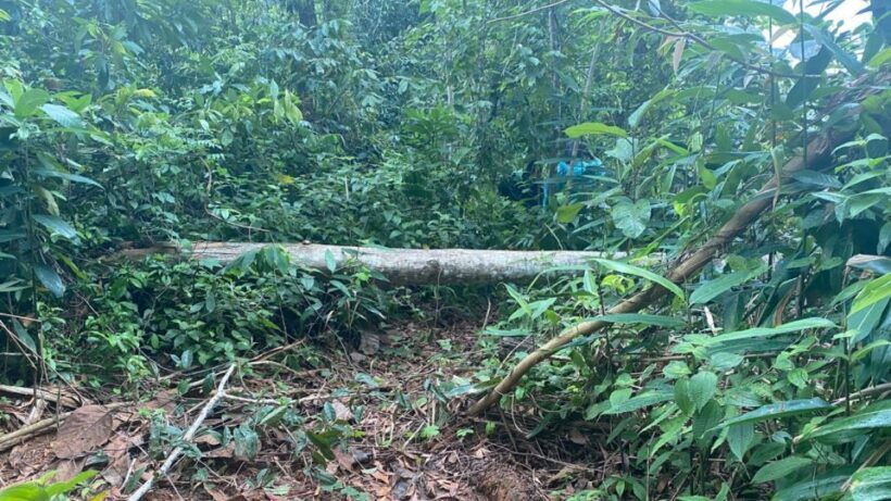 Phuket: Ethical Elephant Sanctuary Experience - FAQ