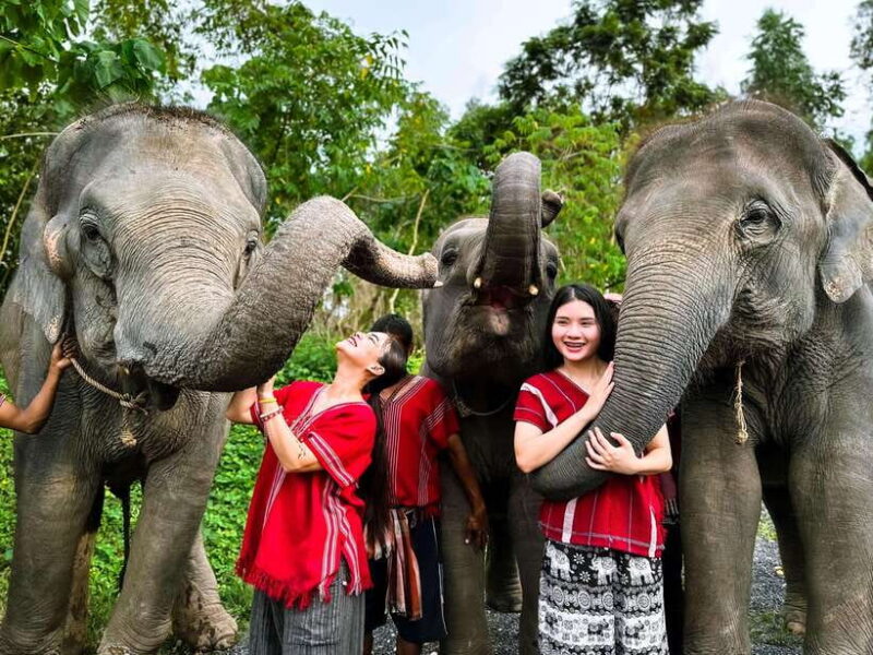 Phuket : Experience feeding and bathing elephants 1.5 Hrs. - A Step-by-Step Look at the Itinerary