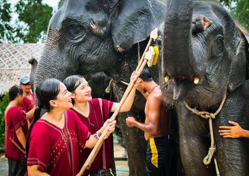 Phuket : Experience feeding and bathing elephants 1.5 Hrs. - The Experience from Reviews
