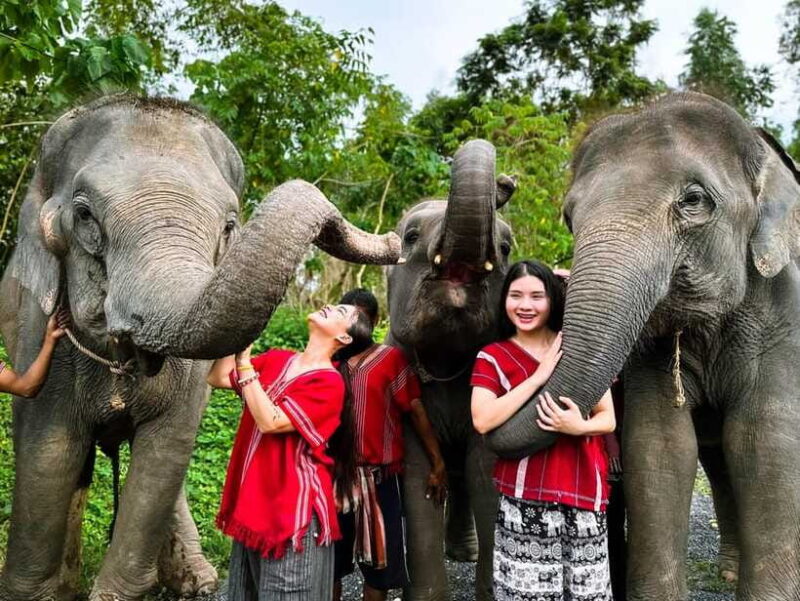 Phuket : Experience feeding and bathing elephants 1.5 Hrs. - Practical Tips for Visitors