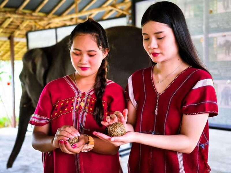 Phuket : Experience feeding and bathing elephants 1.5 Hrs. - FAQs