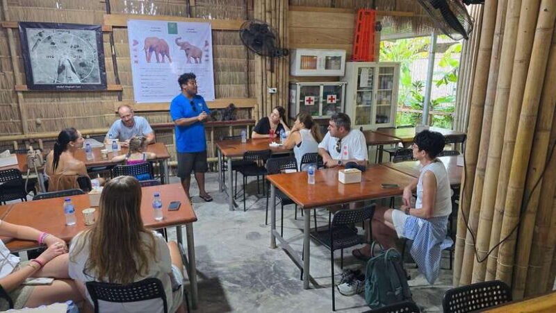 Phuket: Feeding Elephants at Phuket Elephant Care - The Authenticity and Impact