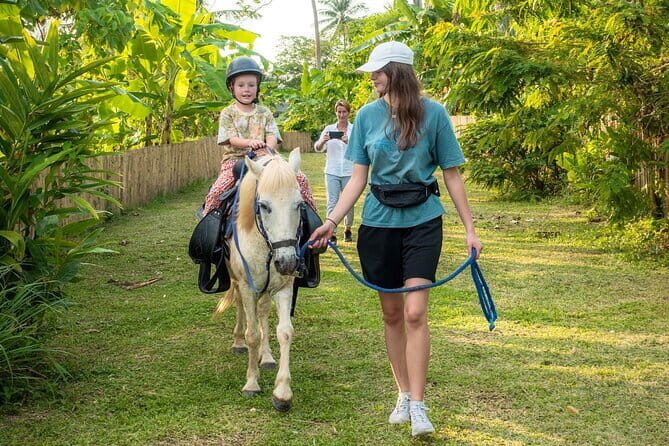 Phuket Golden Sunset Horseback Ride with Palai Beach Views - Key Points
