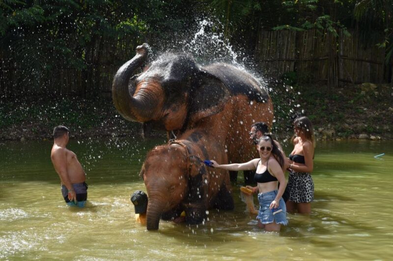 Phuket: Half Day or 2-Hour Ethical Elephant Care Sanctuary - A Detailed Breakdown of the Experience