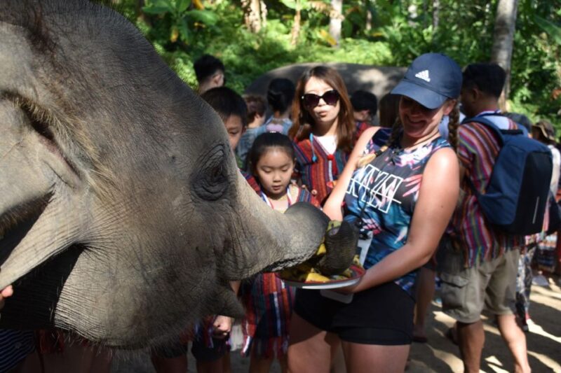 Phuket: Half Day or 2-Hour Ethical Elephant Care Sanctuary - Why This Experience Is Worth It