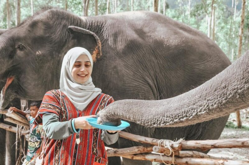 Phuket: Half Day or 2-Hour Ethical Elephant Care Sanctuary - The Authenticity and Ethical Approach