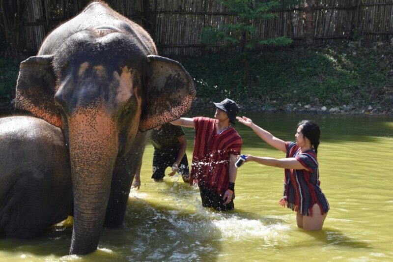 Phuket: Half Day or 2-Hour Ethical Elephant Care Sanctuary - Practical Tips for Visitors