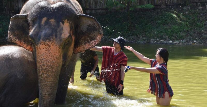 Phuket: Half Day or 2-Hour Ethical Elephant Care Sanctuary - FAQ