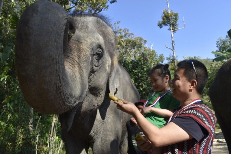 Phuket: Half Day or 2-Hour Ethical Elephant Care Sanctuary - Final Thoughts