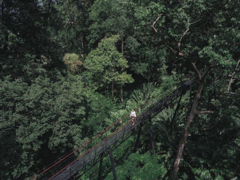 Phuket: Hanuman World Zip Line Adventure - Key Points