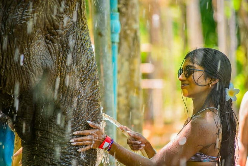 Phuket: Happy Hour Feed and Rain Shower with Elephant - Key Points